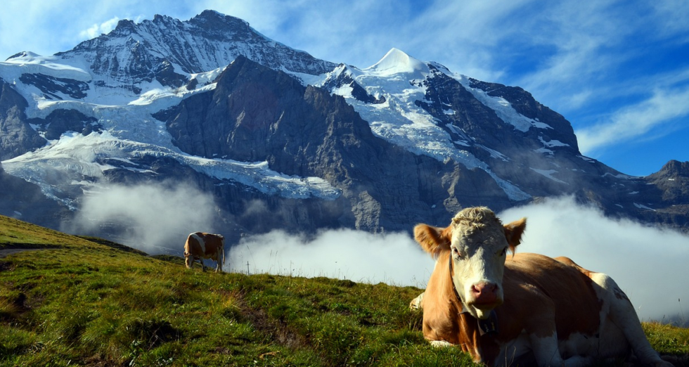 5 Mooie wandelingen in Zwitserland » Goedkoop-treinkaartje.nl