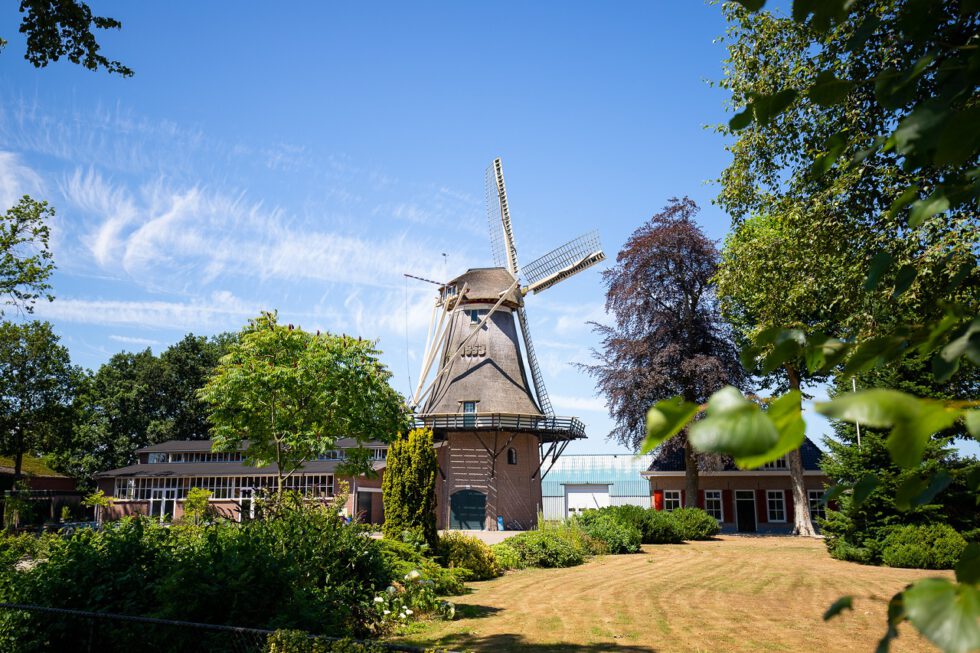Oldebroek: Wezepsche Heide, wandelroutes en high-lights
